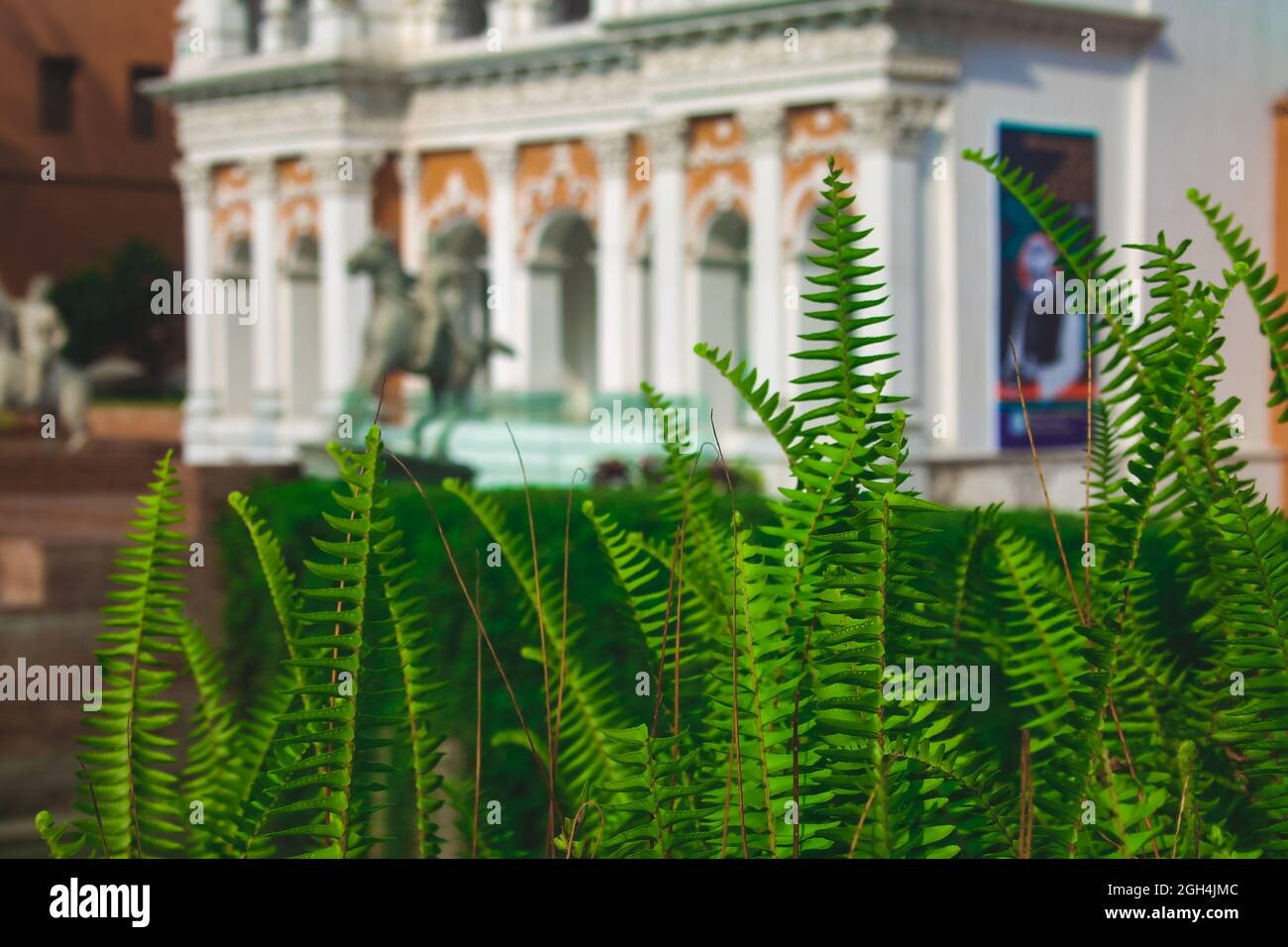 A selective focus shot of a monumental white stone building facade ...