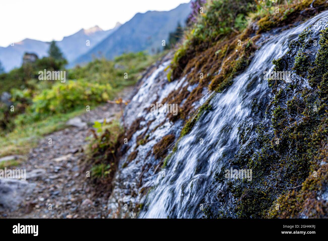 Cristal clear alpine stream with fresh water in the Austrian Alps Stock ...