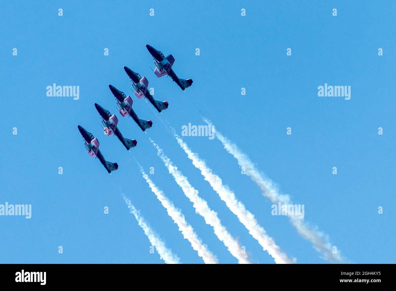 Planes of the The Canadian Forces (CF) Snowbirds, 431 Air Demonstration ...