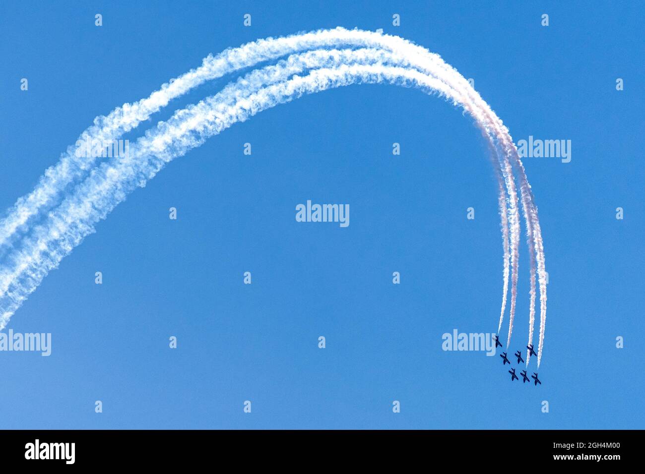 Planes of the The Canadian Forces (CF) Snowbirds, 431 Air Demonstration ...