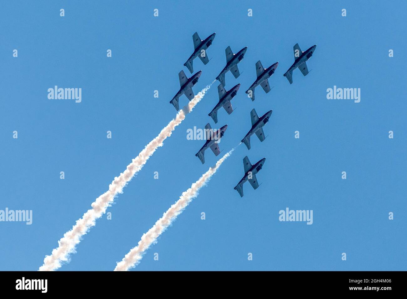 Planes of the The Canadian Forces (CF) Snowbirds, 431 Air Demonstration ...