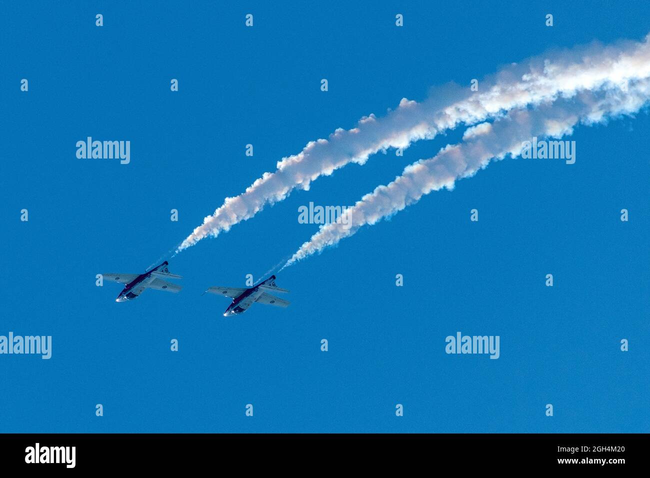 Planes of the The Canadian Forces (CF) Snowbirds, 431 Air Demonstration ...
