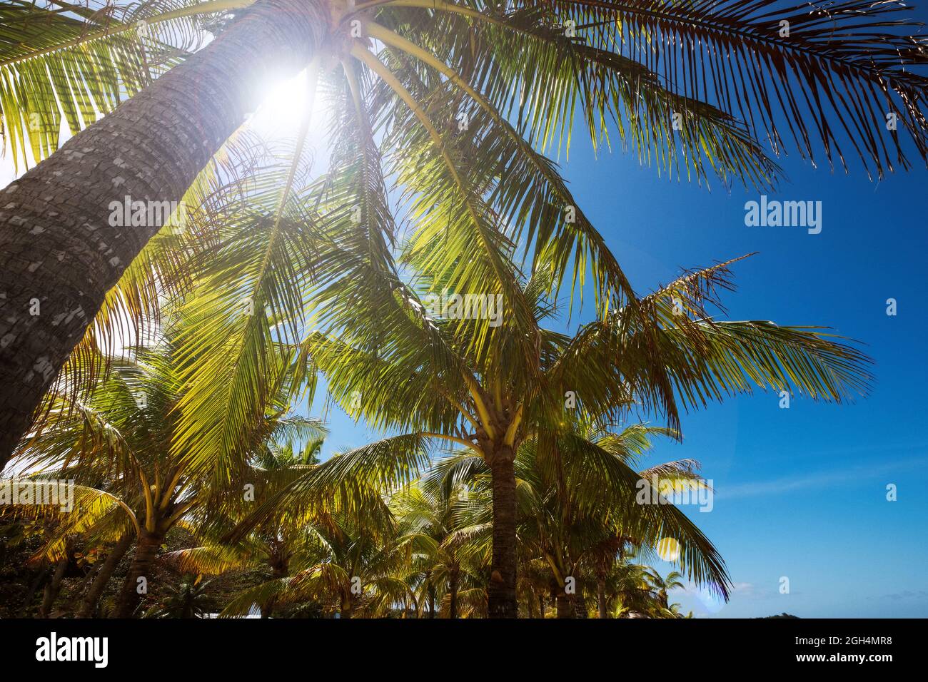 summer feelings at the beach Stock Photo - Alamy