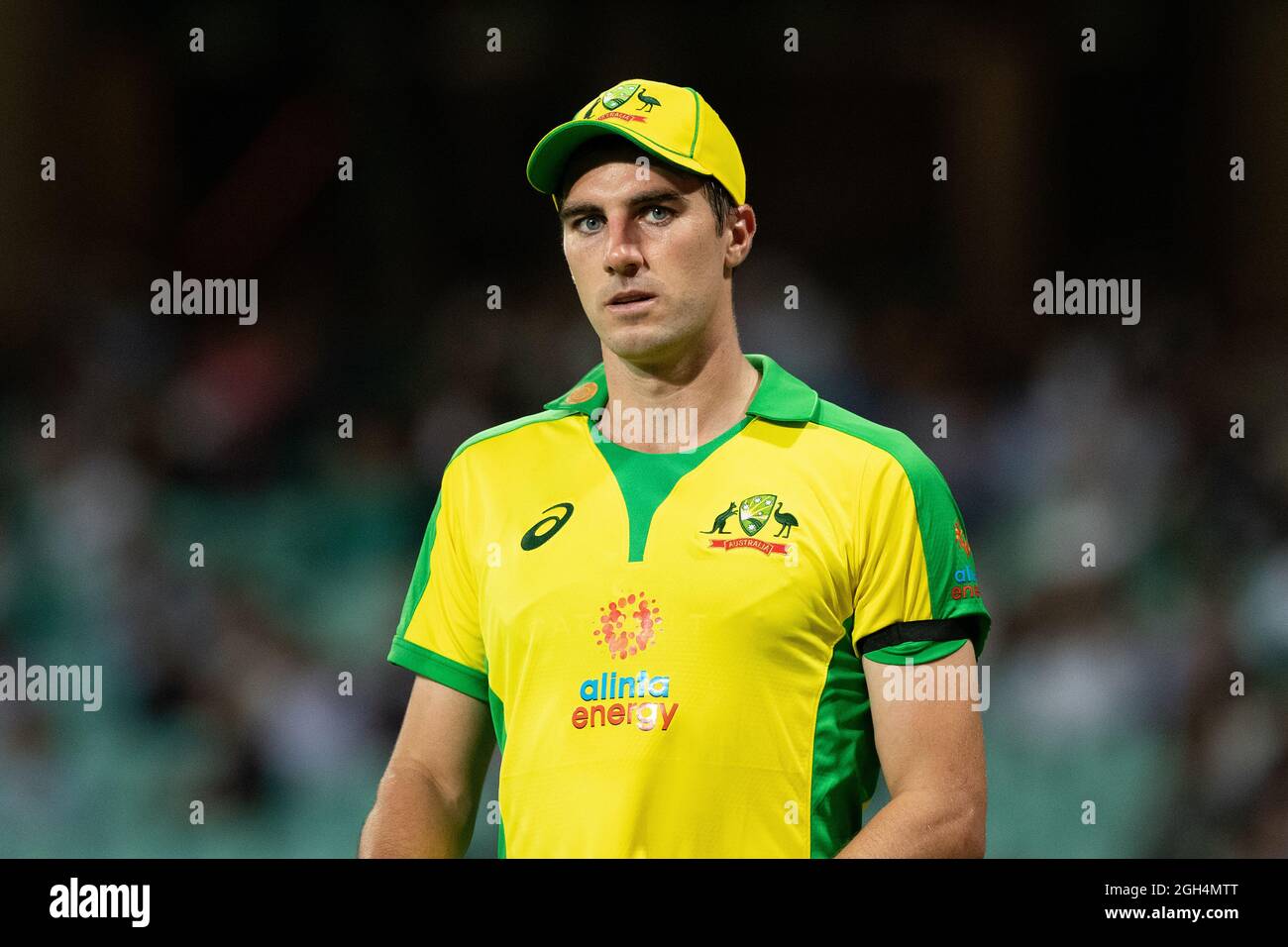 Steven cummins hi-res stock photography and images - Alamy