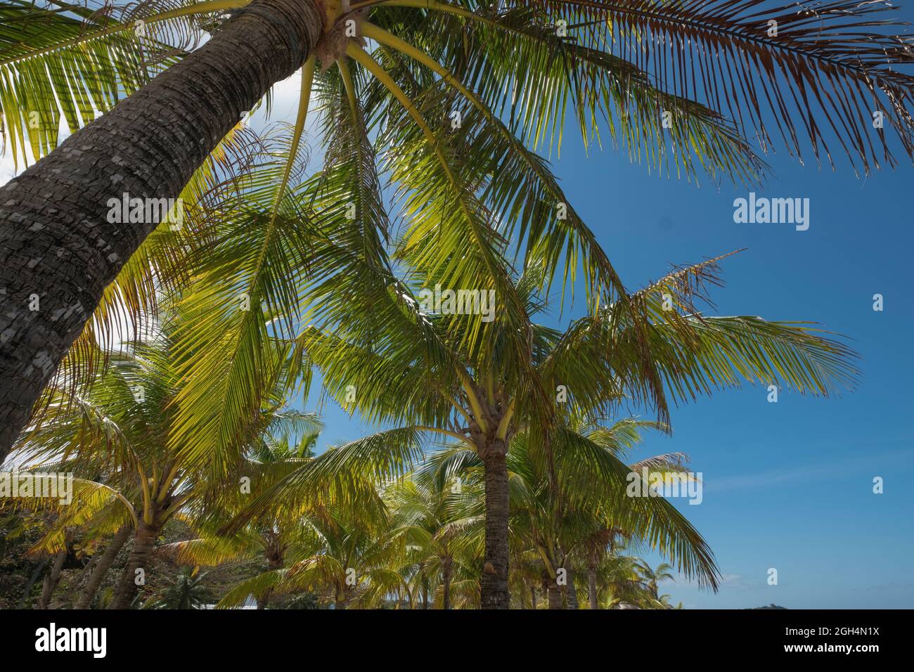 summer feelings at the beach Stock Photo - Alamy