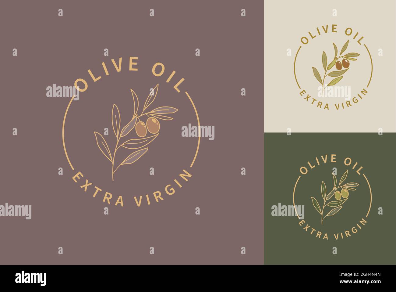 Fresh olives extra virgin Stock Vector Images - Alamy