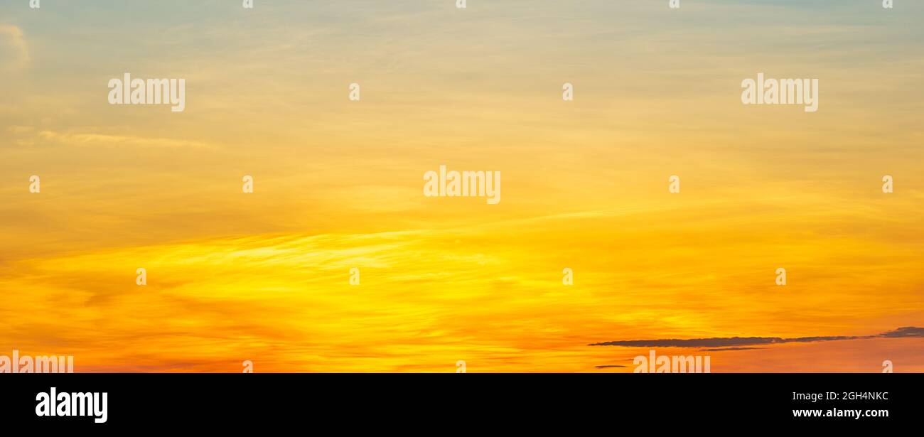 Abstract panoramic golden sky and faded clouds, nature phenomenon ...