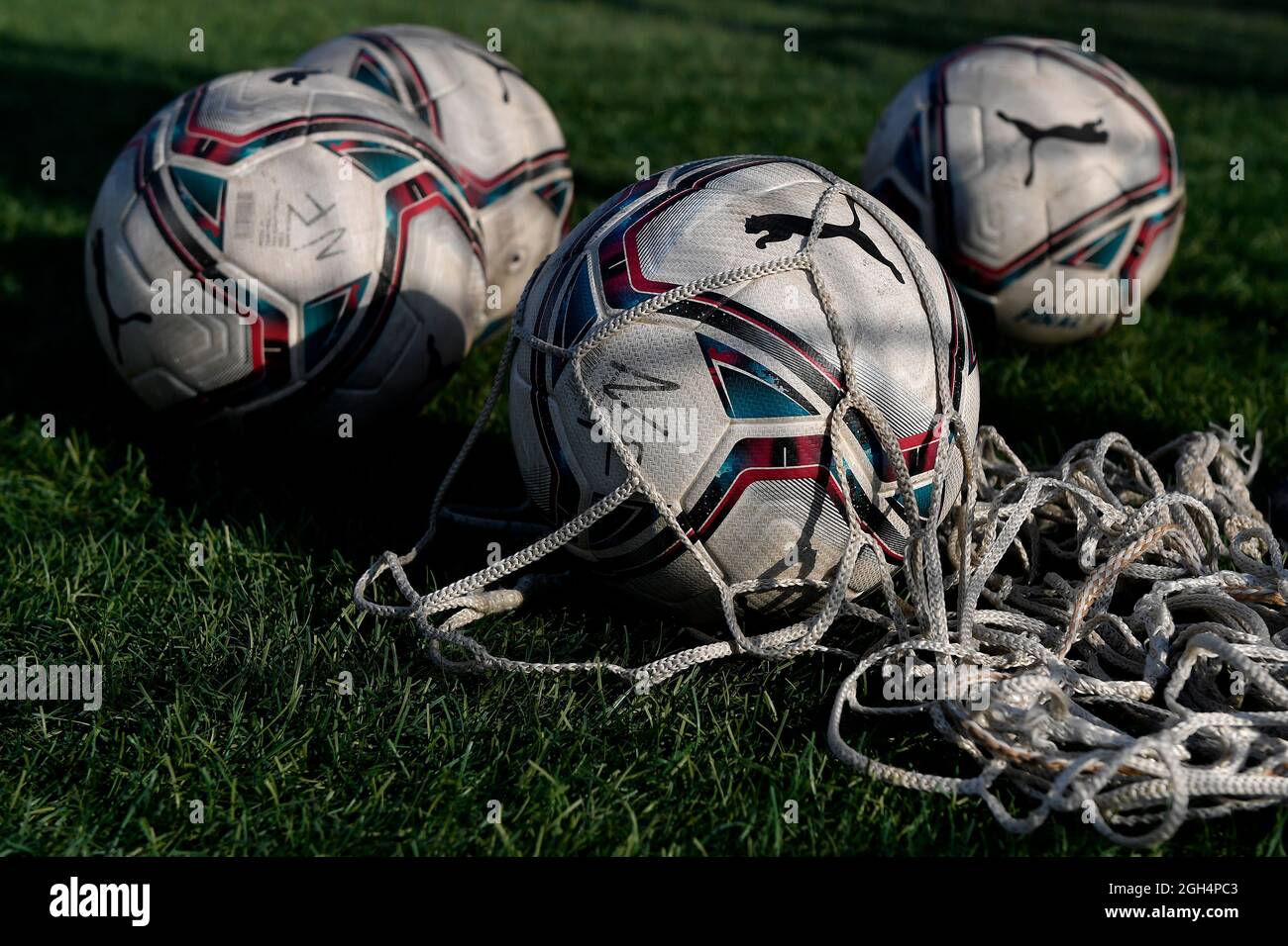 Puma balls hi-res stock photography and images - Alamy