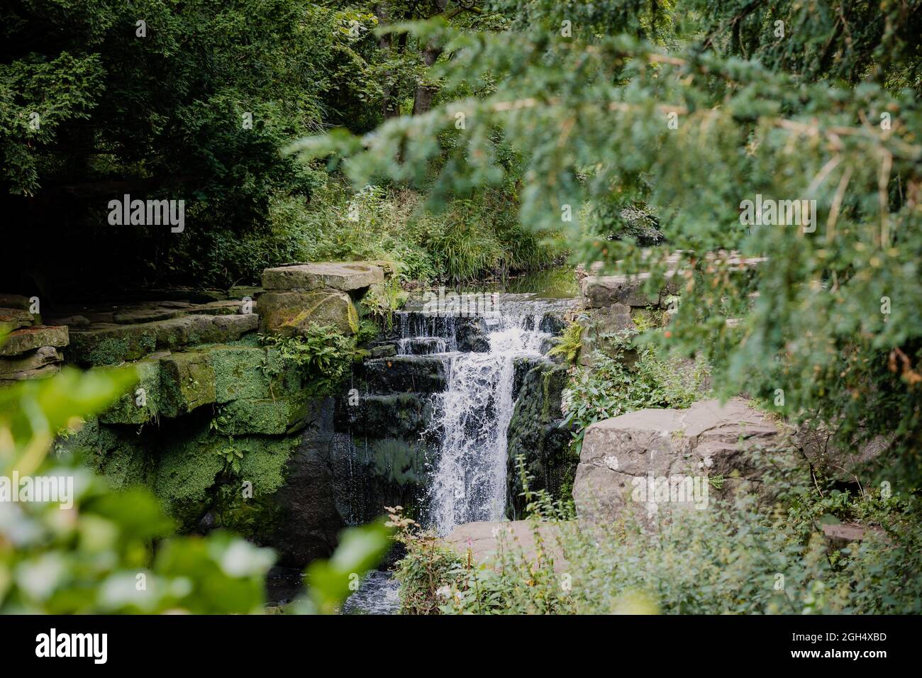 Green surround of waterfall hi-res stock photography and images - Alamy