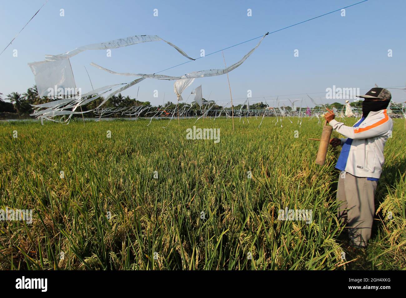 Indonesia farmers eating hi-res stock photography and images - Alamy
