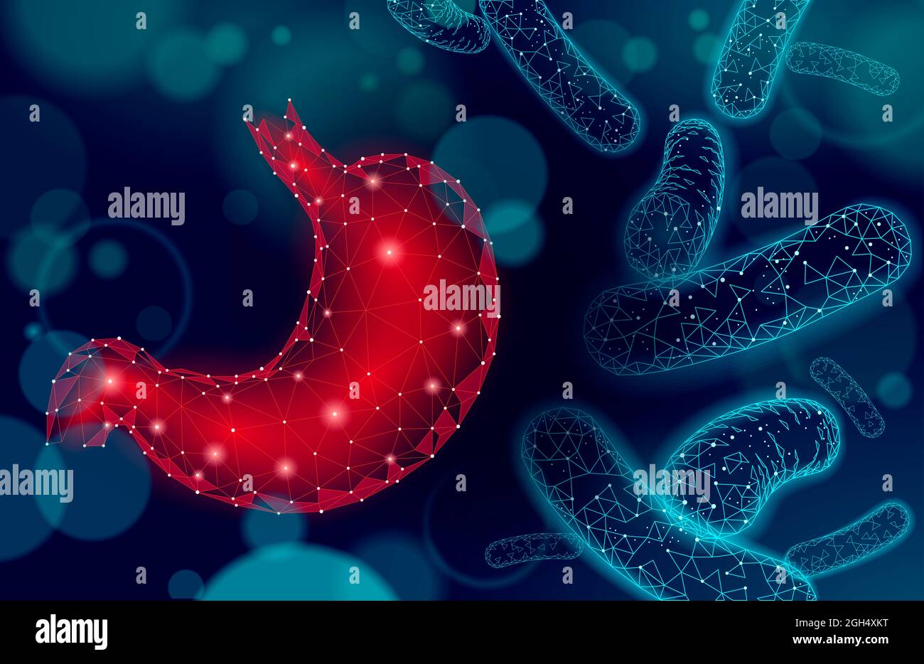 Human stomach microscopic 3D low poly render probiotics. Healthy normal ...