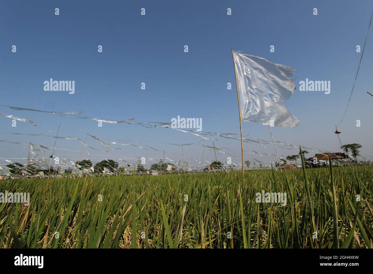 Walahar village hi-res stock photography and images - Alamy