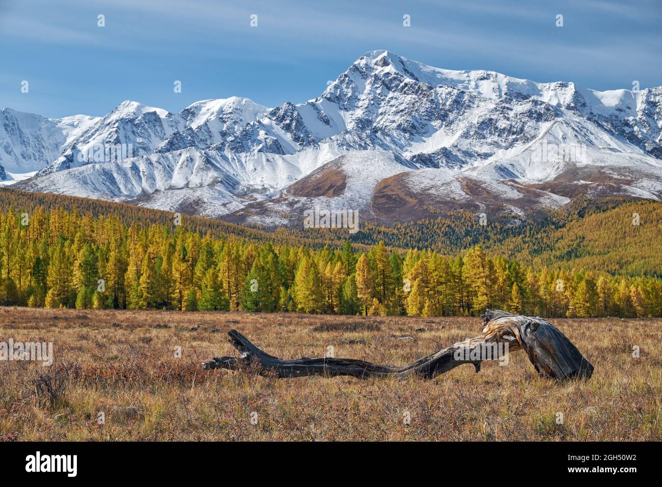 Autumn highland landscape. Picturesque driftwood is on foreground and ...