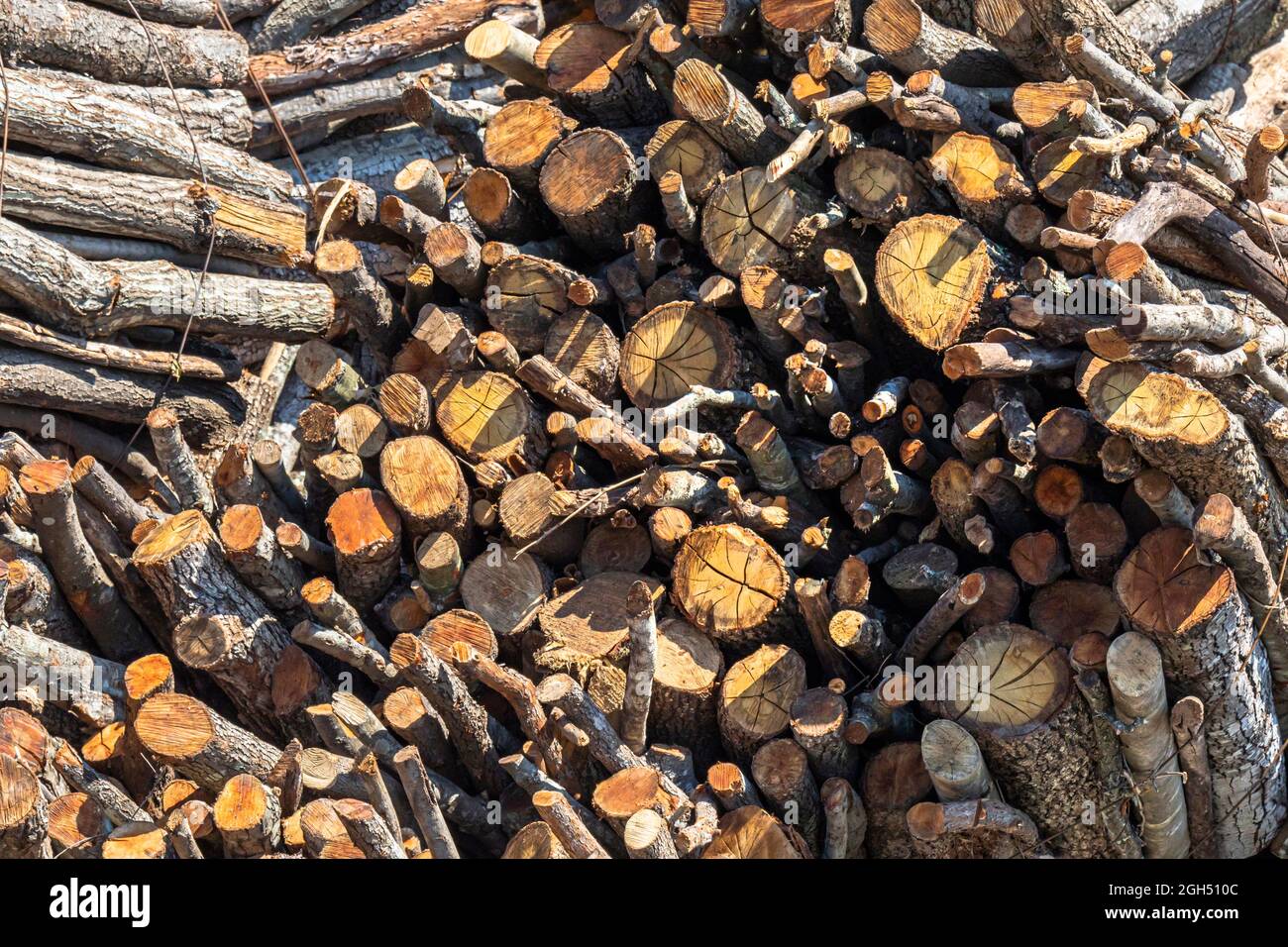 Different sizes of logs hi-res stock photography and images - Alamy