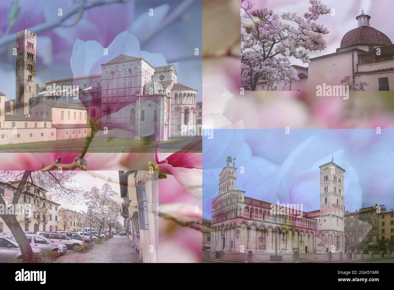 collage of photos of the most beautiful places of the city of Lucca ...