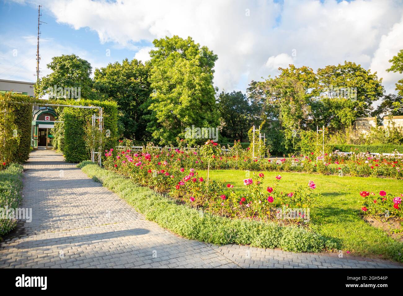 The rose garden on Petrin Hill in Prague, Czech Republic Stock Photo ...