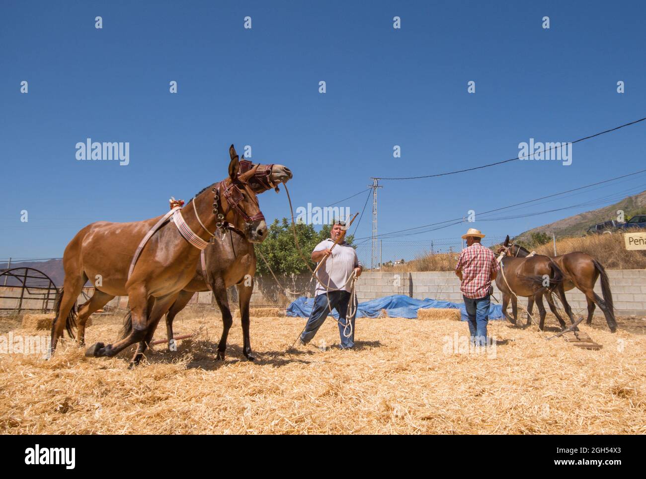 Traditional threshing hi-res stock photography and images - Alamy