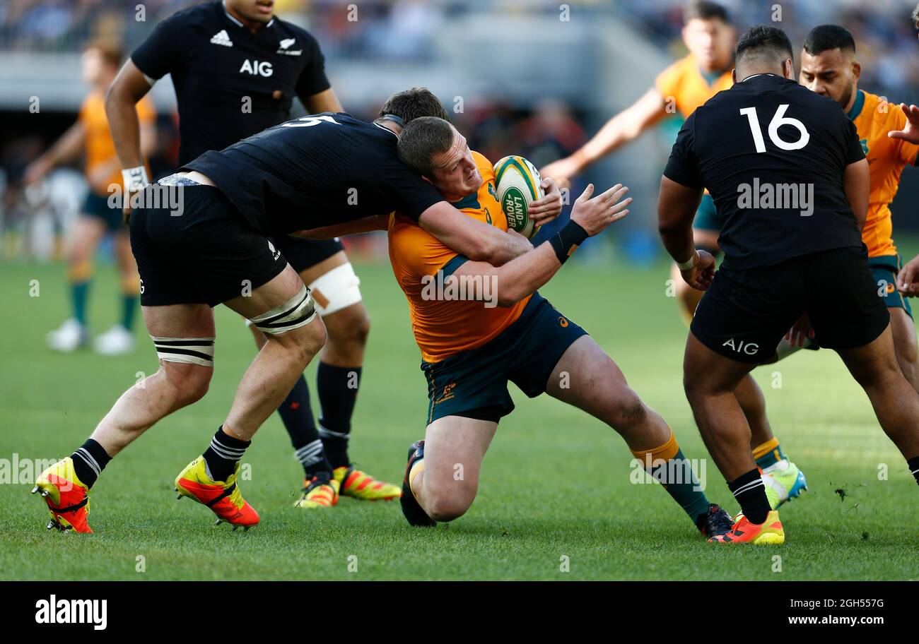 Angus bell rugby wallabies hi-res stock photography and images - Alamy