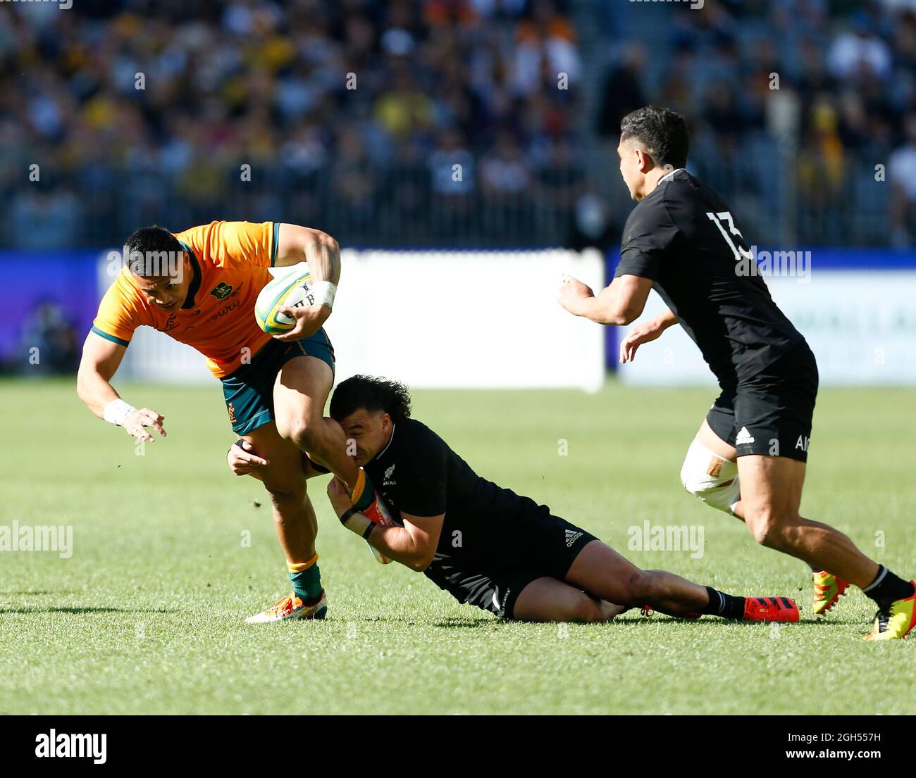 5th September 2021; Optus Stadium, Perth, Australia: Bledisloe Cup ...