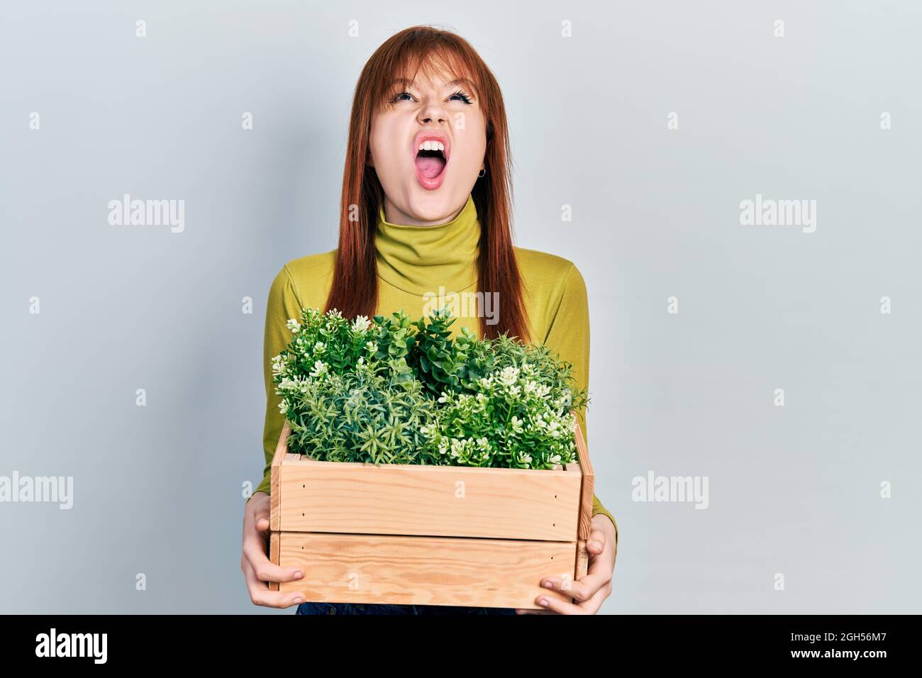 Redhead young woman holding wooden plant pot angry and mad screaming ...