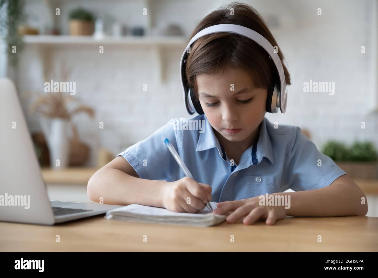 Concentrated little child boy studying on online courses Stock Photo ...