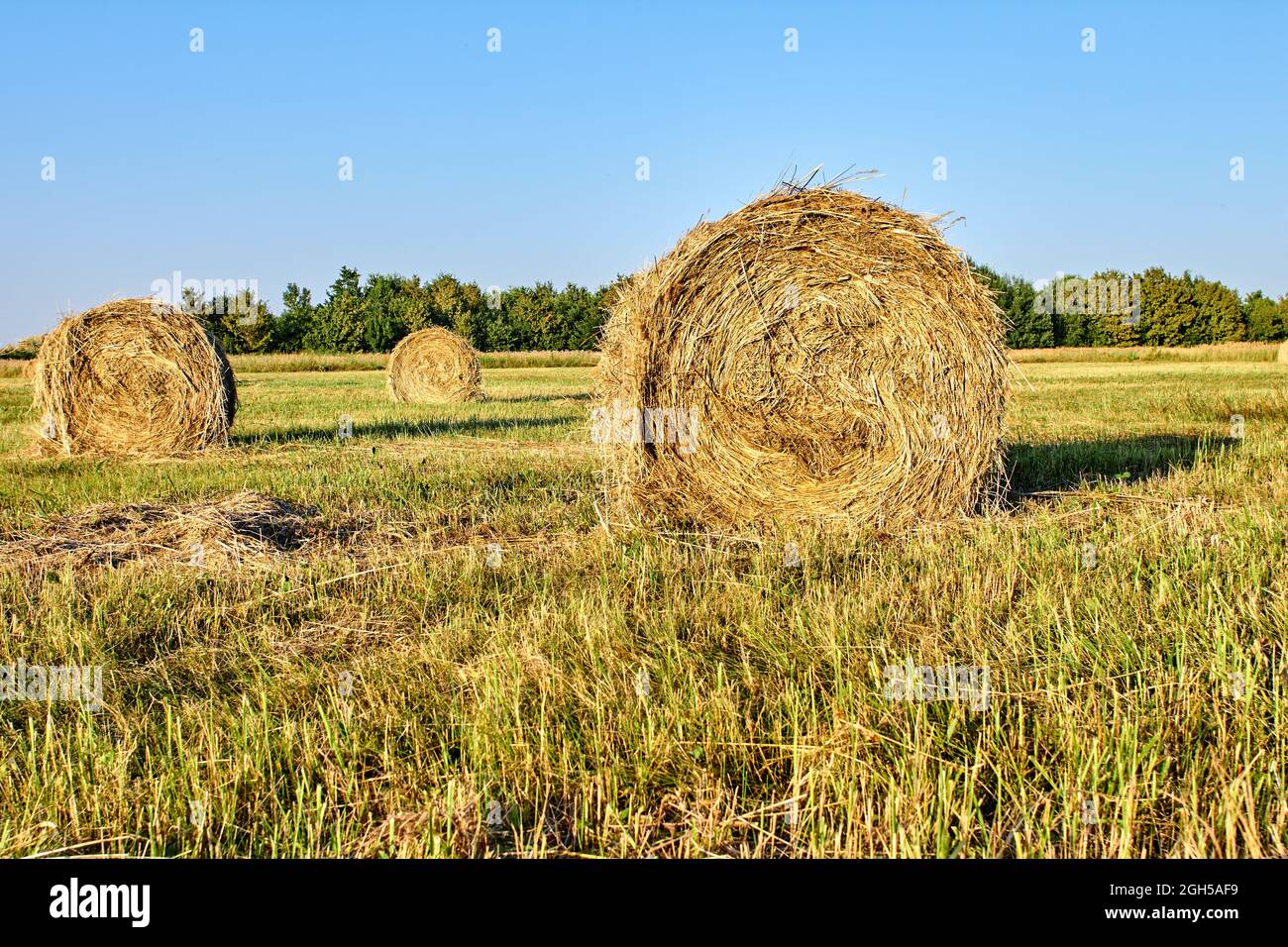 Three hay bales hi-res stock photography and images - Alamy