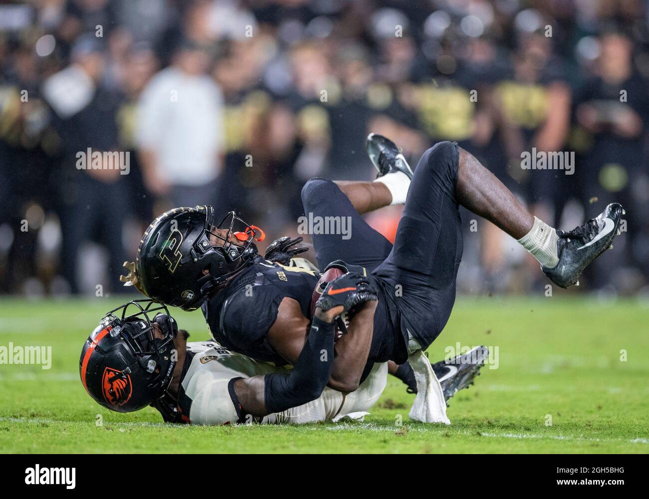 2021 744 jpg hi-res stock photography and images - Alamy