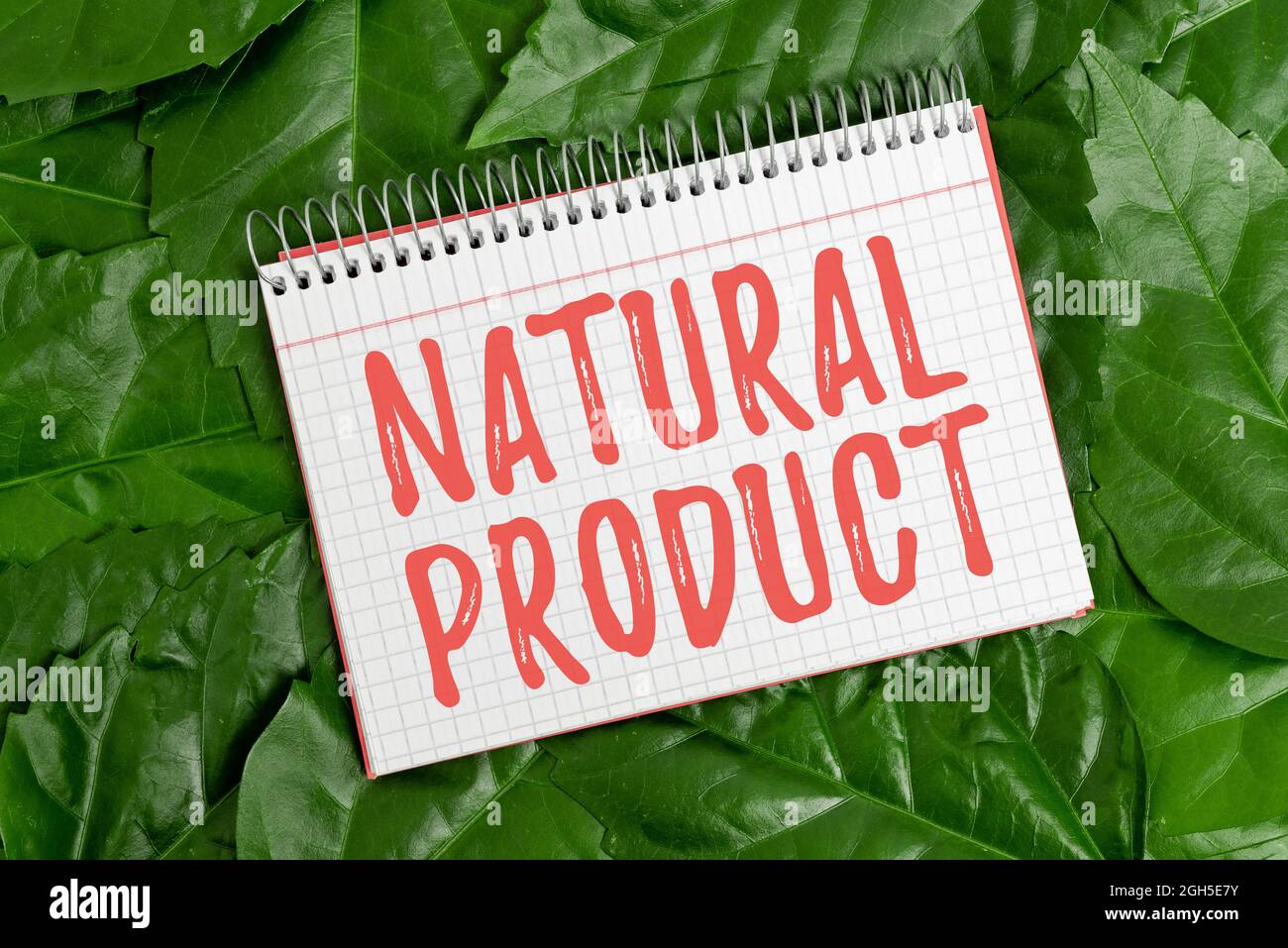 Inspiration showing sign Natural Product. Word Written on chemical ...