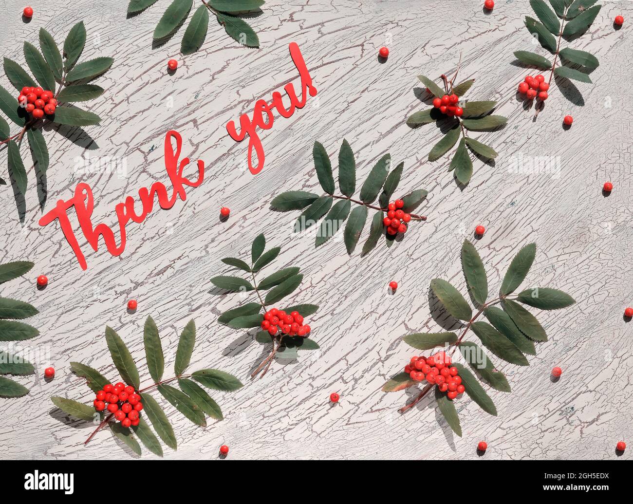 Paper text Thank You. Festive decorative natural background, fresh ...