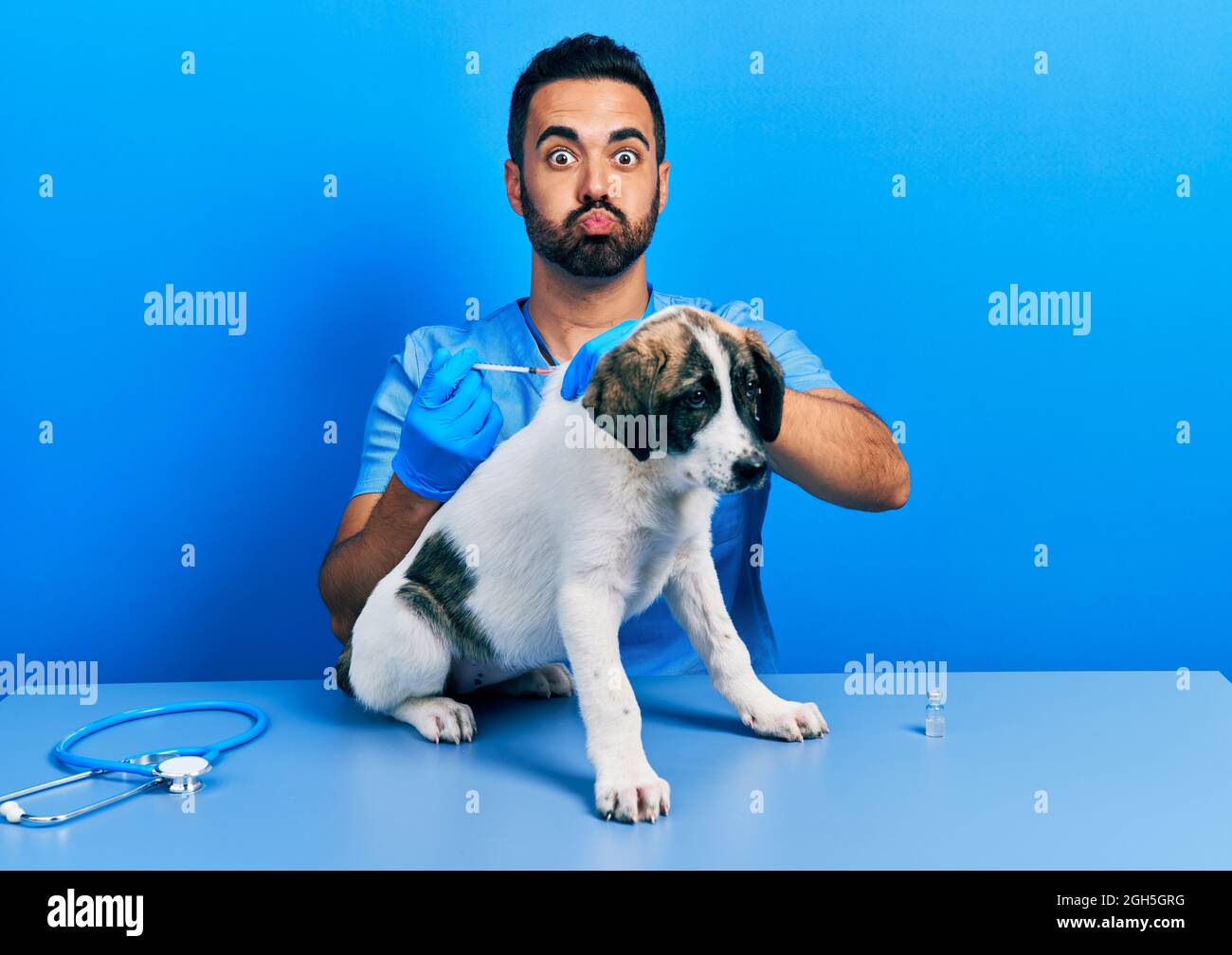 Handsome hispanic veterinary man with beard putting vaccine to puppy ...