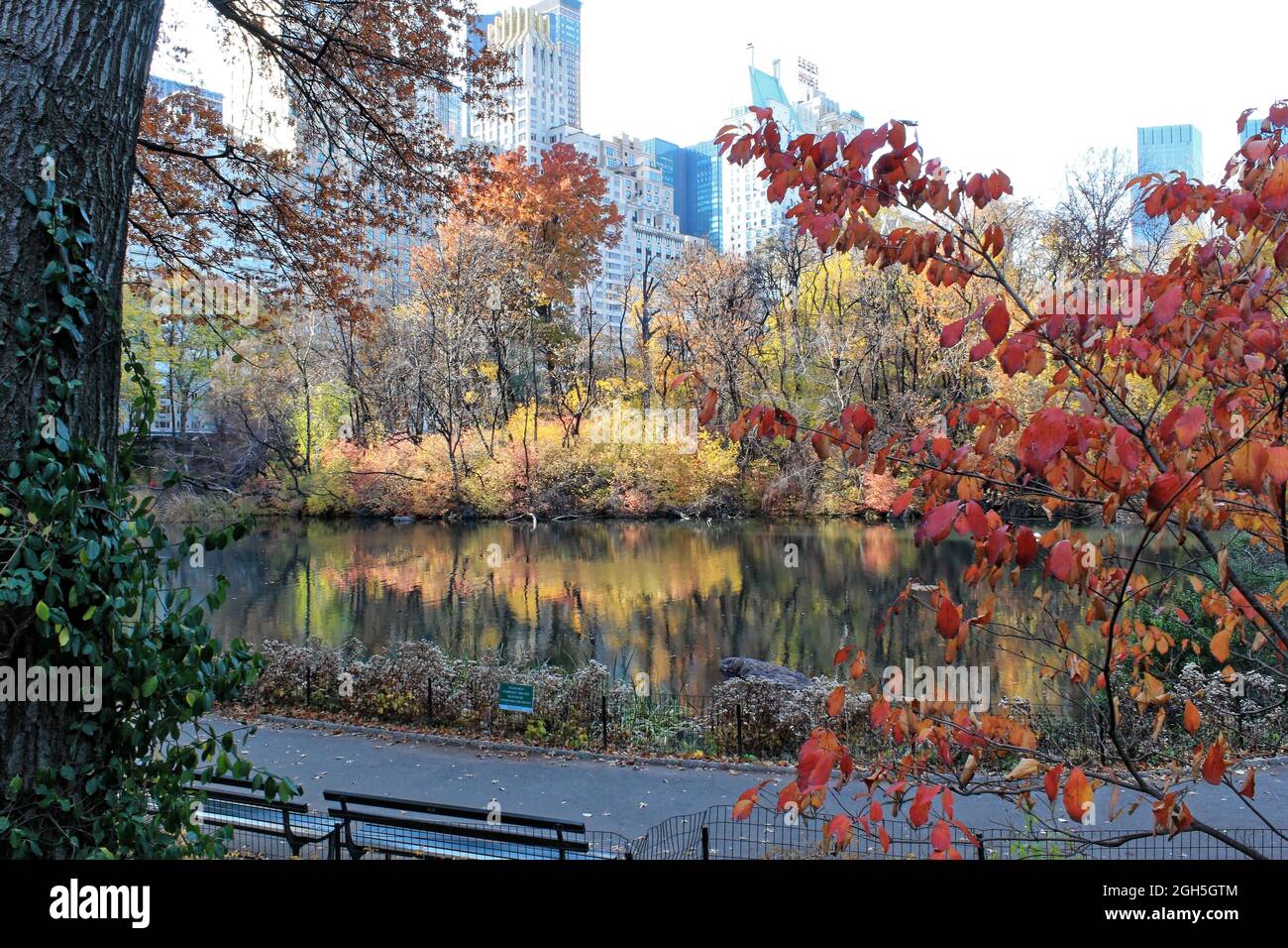 New York, USA - November 21, 2010: Central Park Autumn and buildings in ...