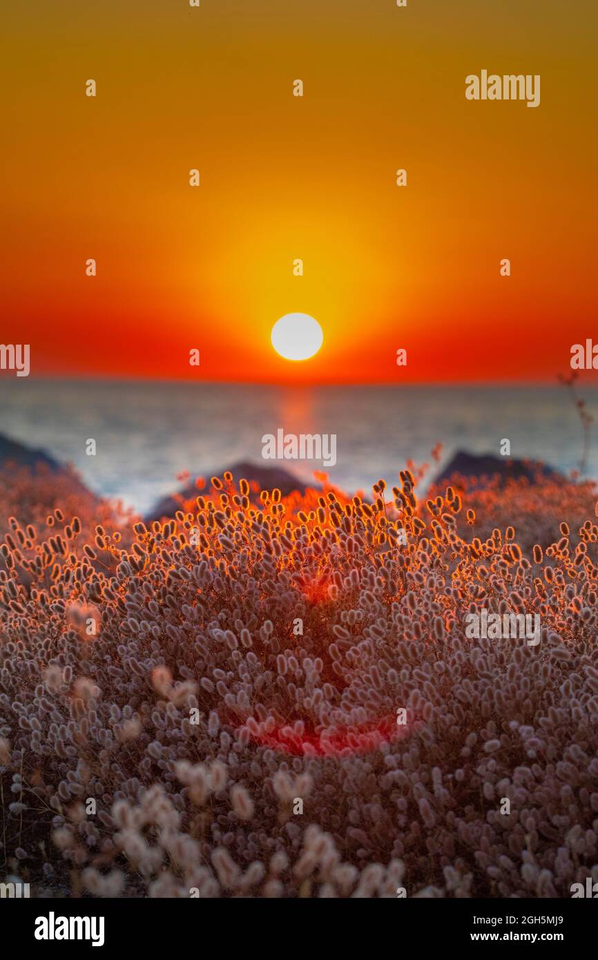 Glare in the sea hi-res stock photography and images - Alamy