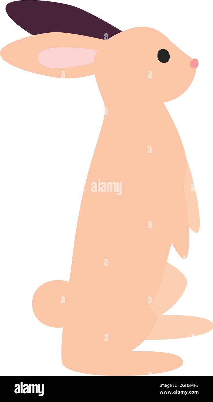 standing pink rabbit character position Stock Vector Image & Art - Alamy