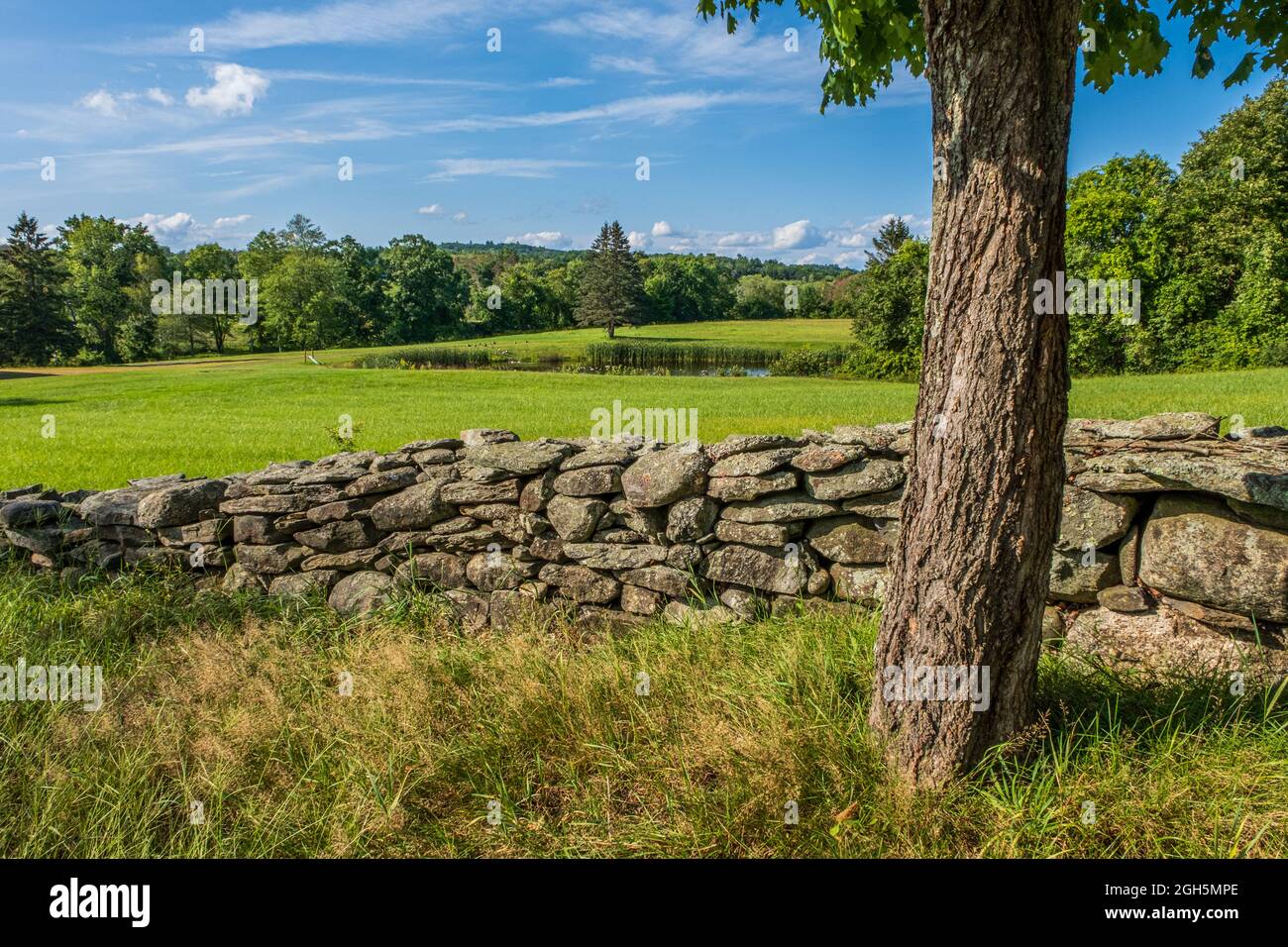 Hardwick pond hi-res stock photography and images - Alamy