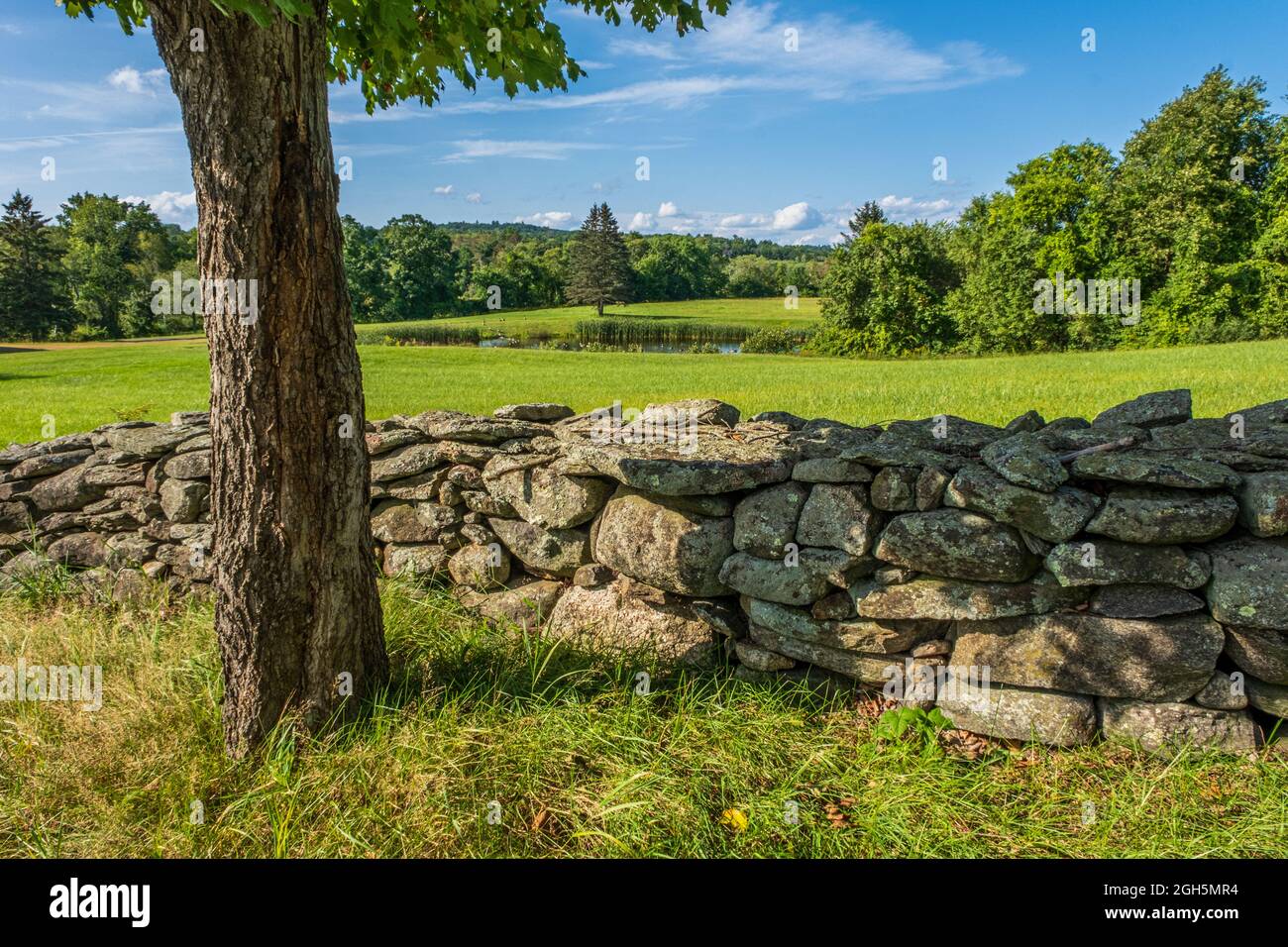 Hardwick pond hi-res stock photography and images - Alamy