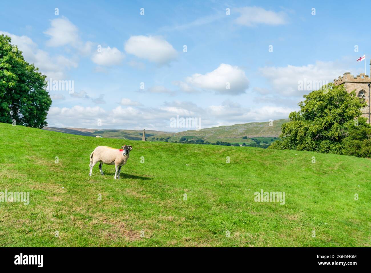 Beautiful rural landscape in Yorkshire Dales around Hawes, North ...