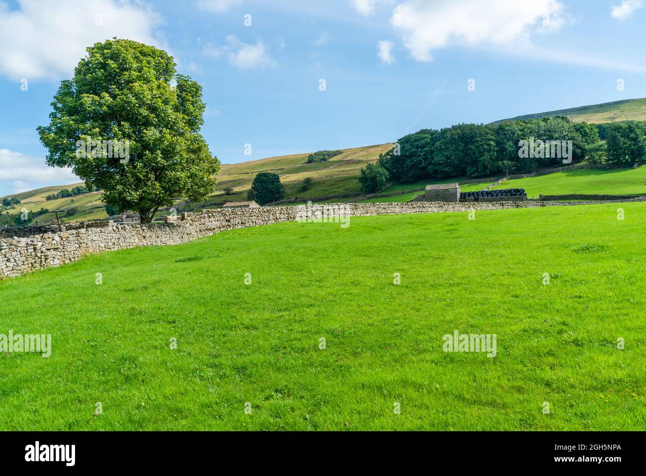 Beautiful rural landscape in Yorkshire Dales around Hawes, North ...