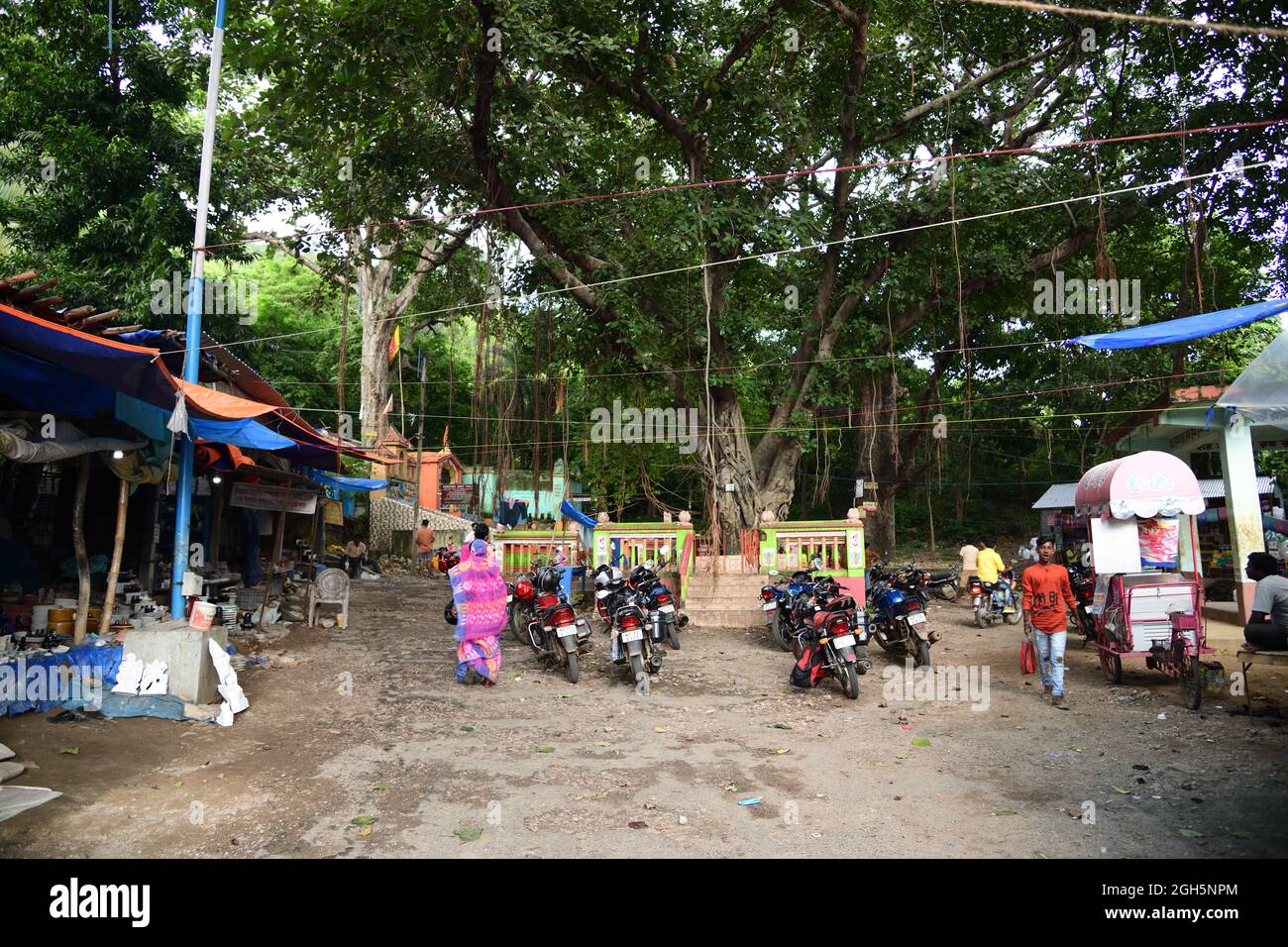 Gateway of Susunia Hill trek route through forest. Bankura, West Bengal ...