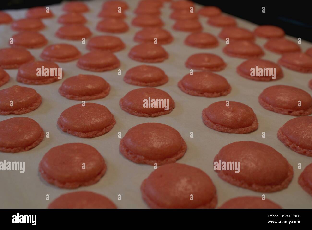 Pink Macaron Shells on a Baking Sheet Stock Photo - Alamy