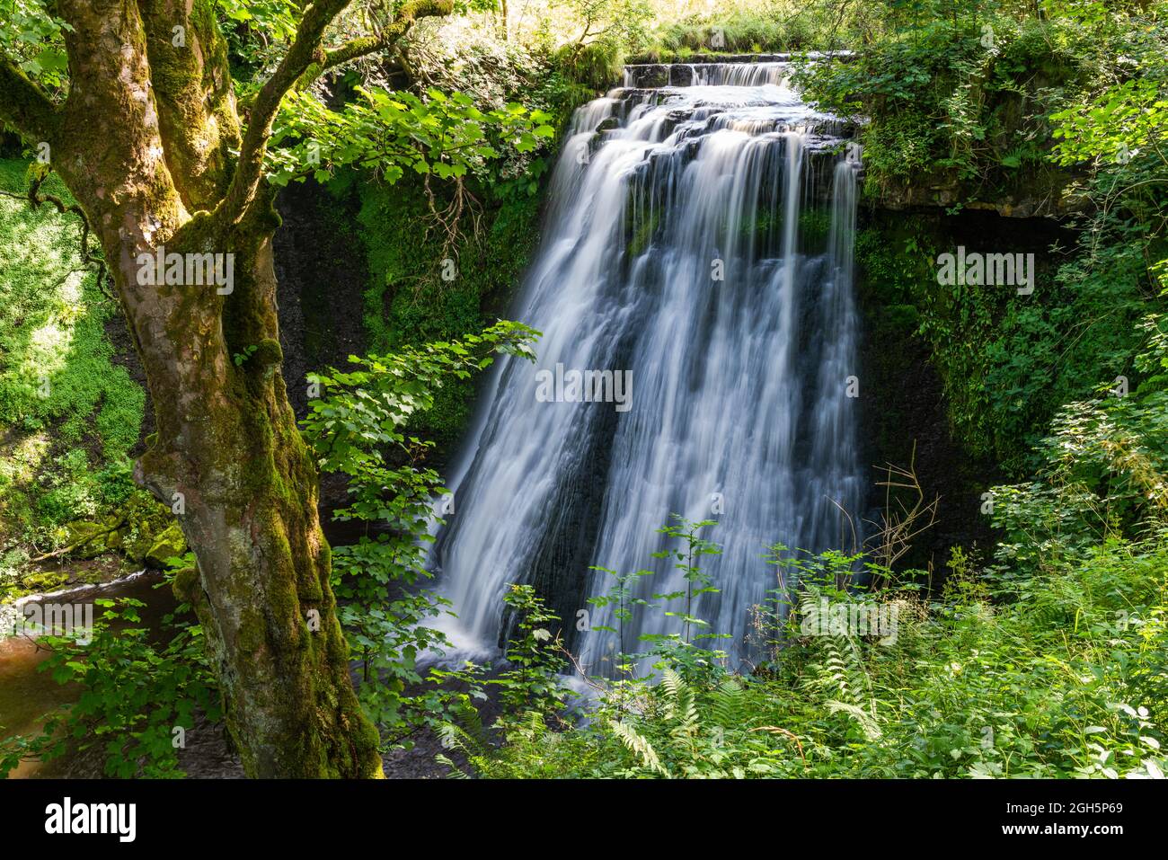 Aysgill Force High Resolution Stock Photography and Images - Alamy