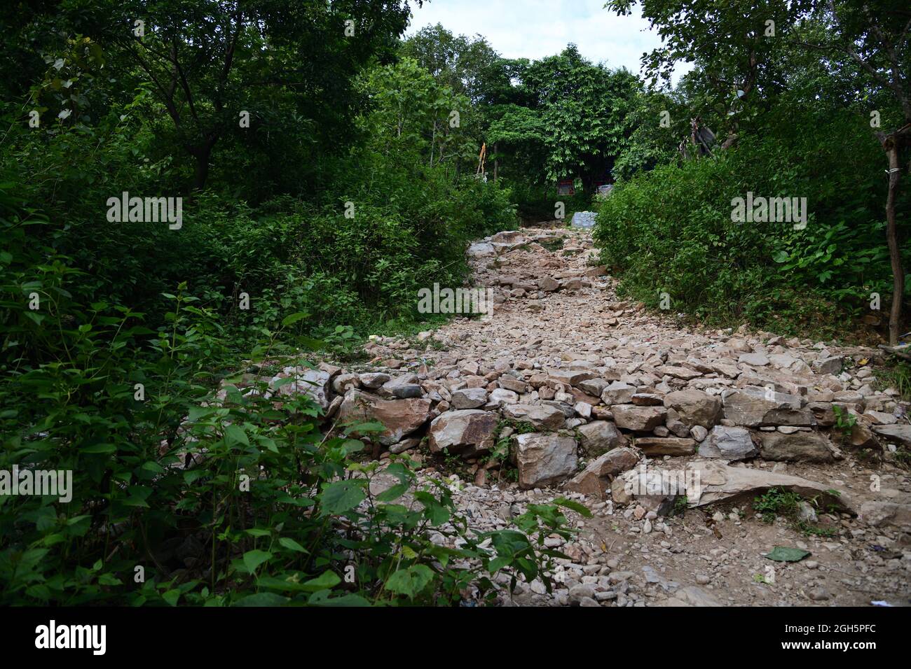 Susunia pahar hi-res stock photography and images - Alamy