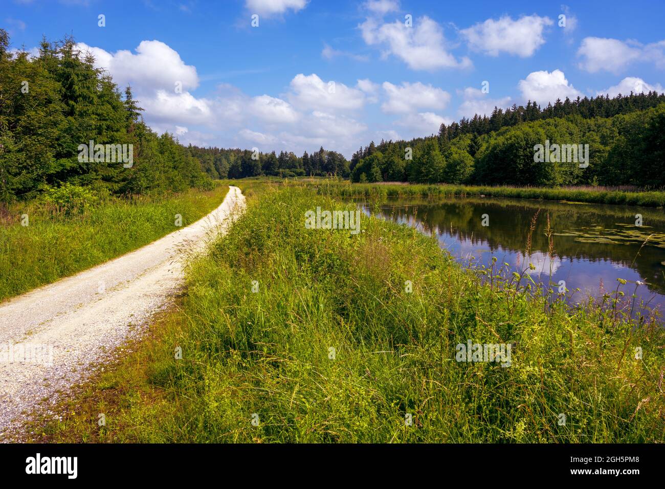 Idyllic path along a lake seen in Bavaria Stock Photo - Alamy