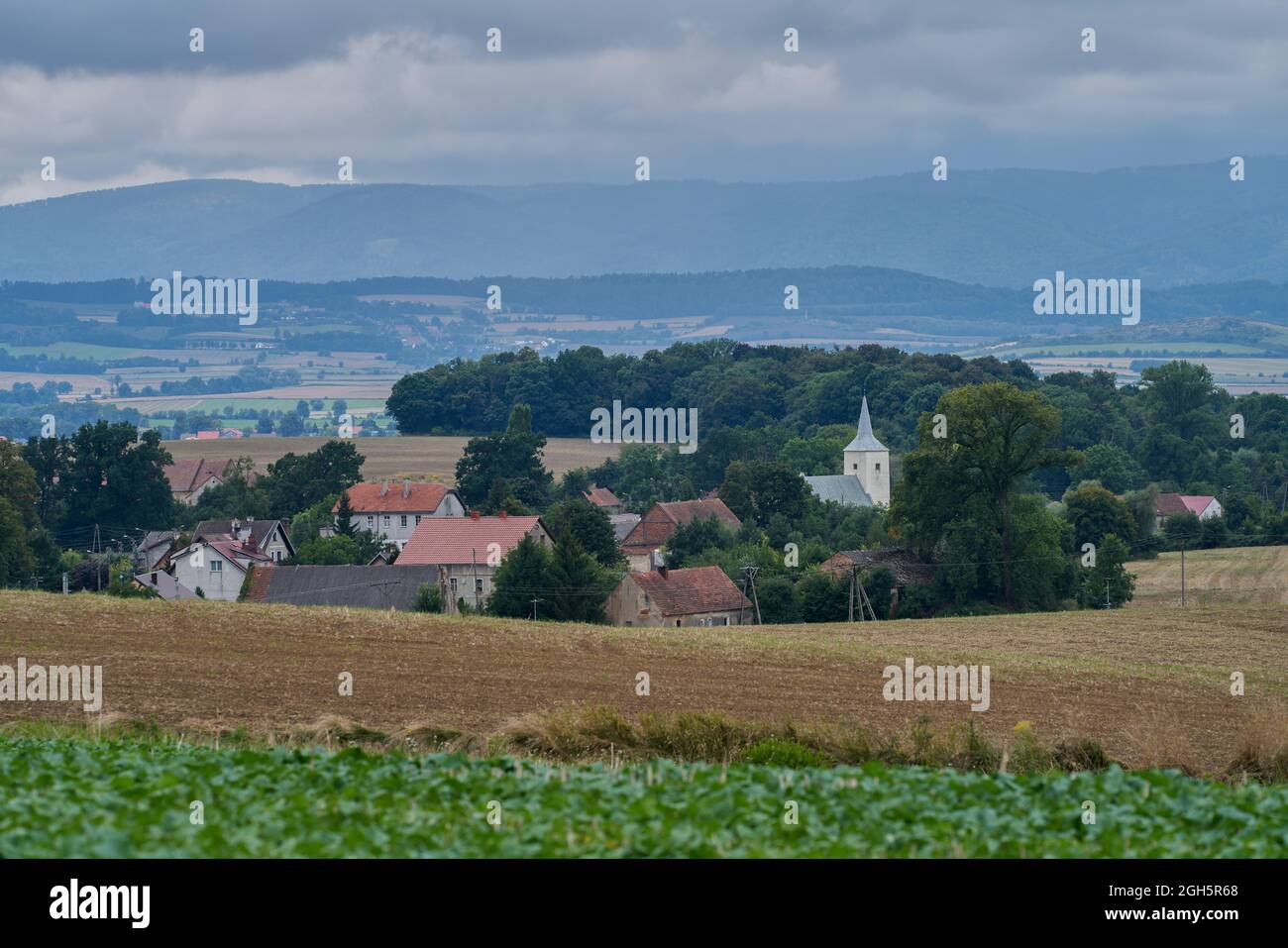 Silesia Landscape