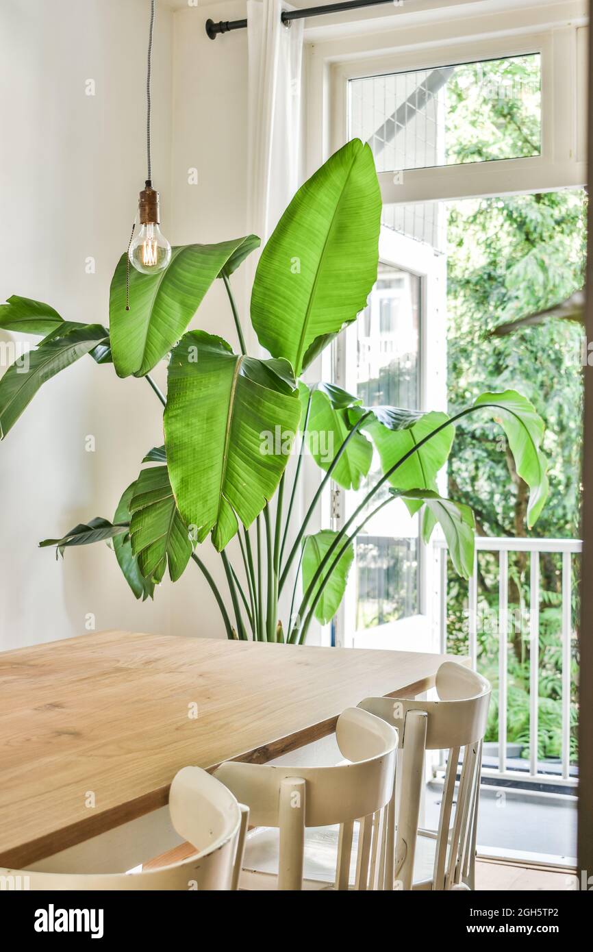 Table with chairs located on lumber floor in sunlit dining room at home ...