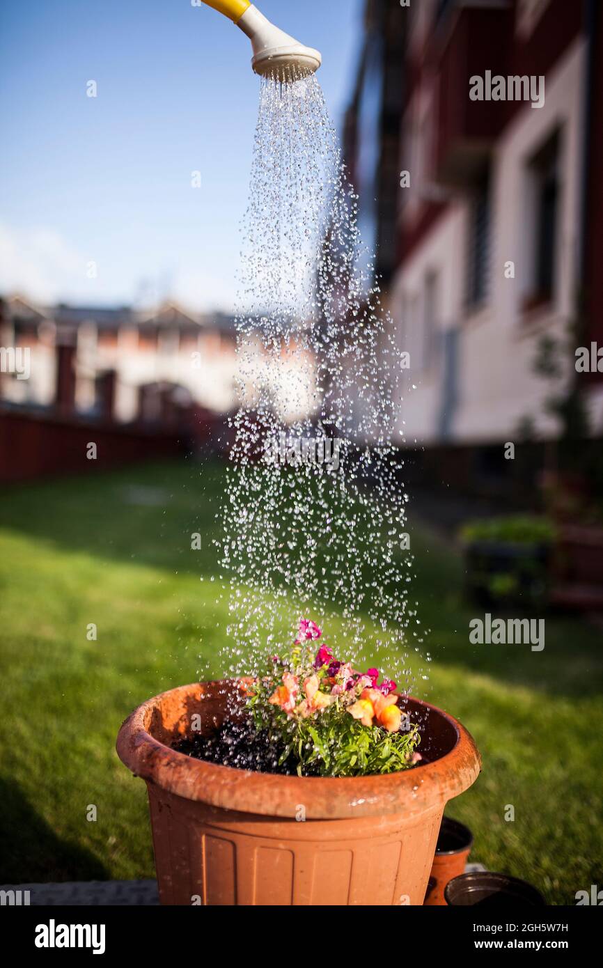 Taking shower detail hi-res stock photography and images - Alamy