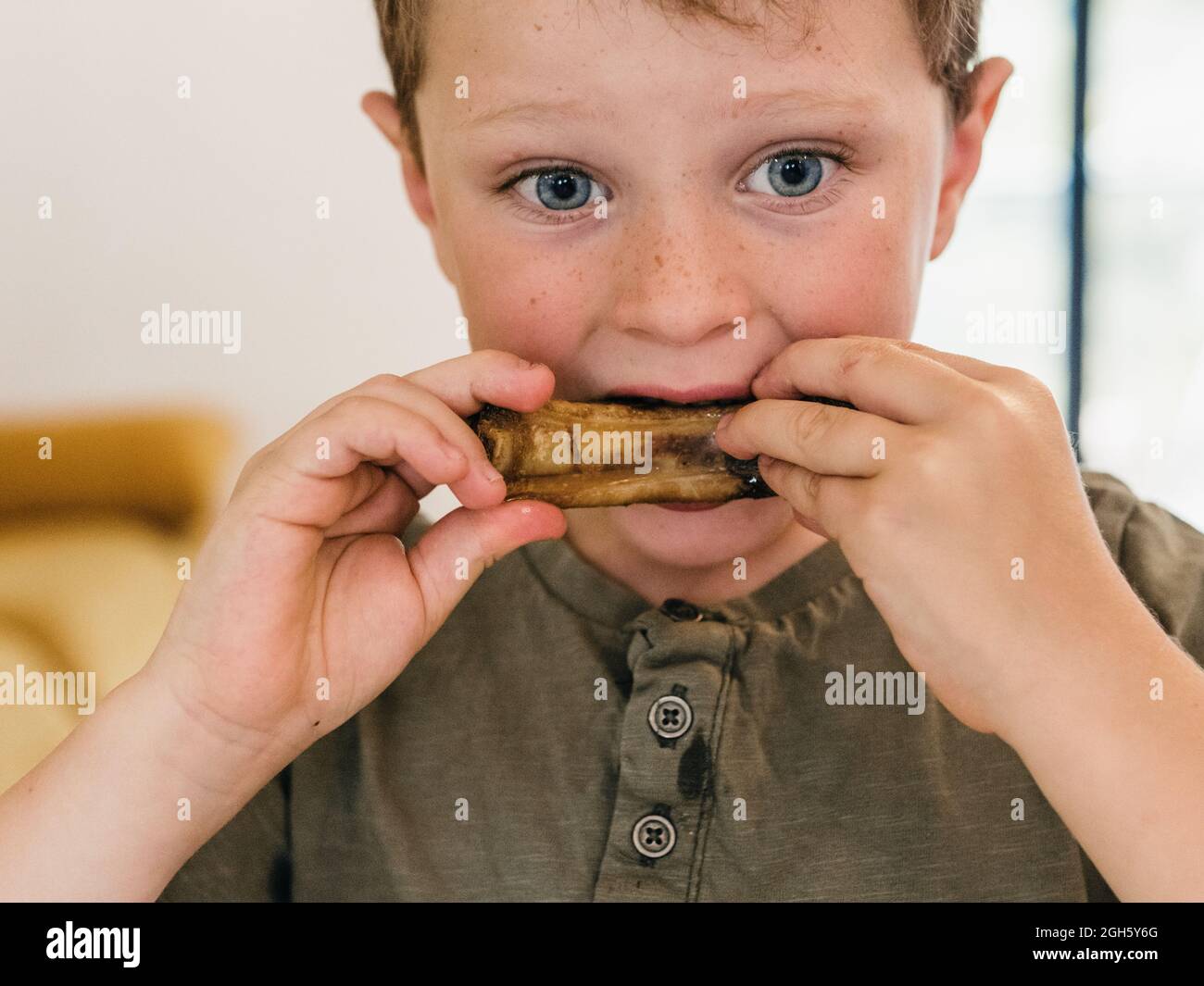 Close up of unemotional kid eating appetizing pork ribs during lunch at ...