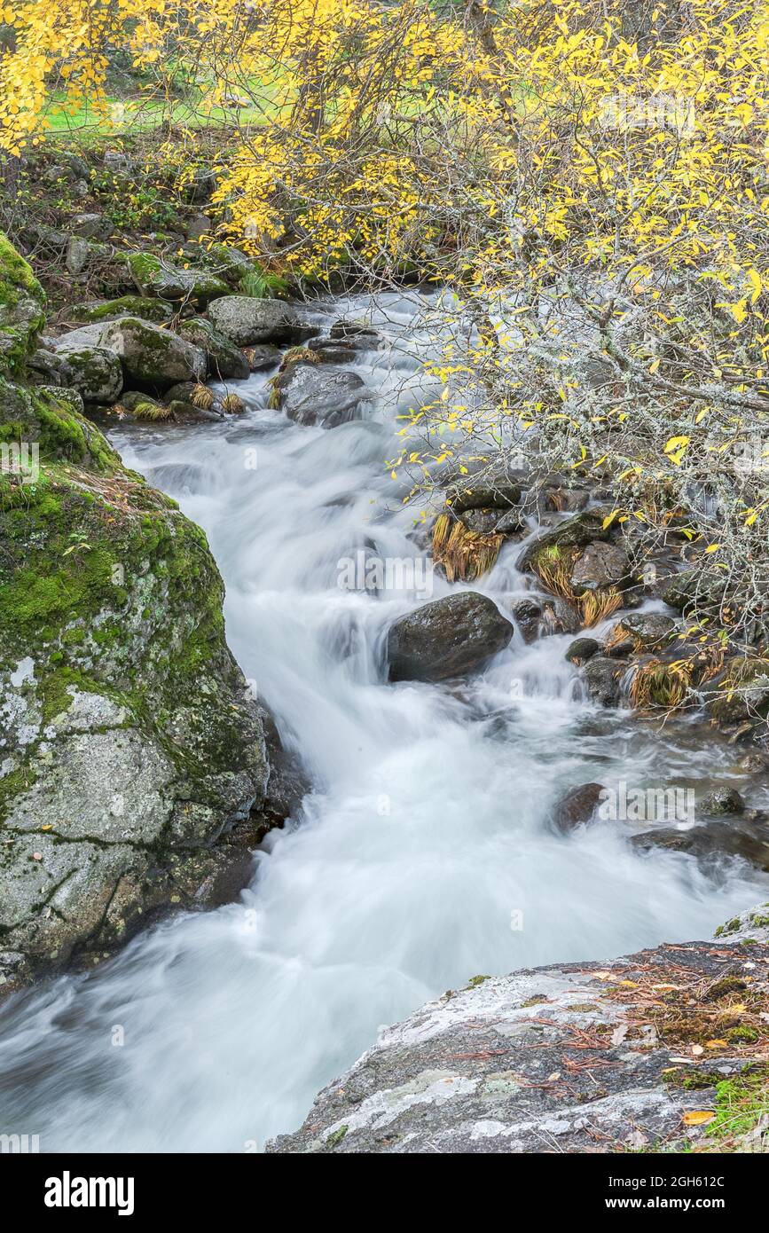 Picturesque view of cascade with foamy water fluid between boulders ...