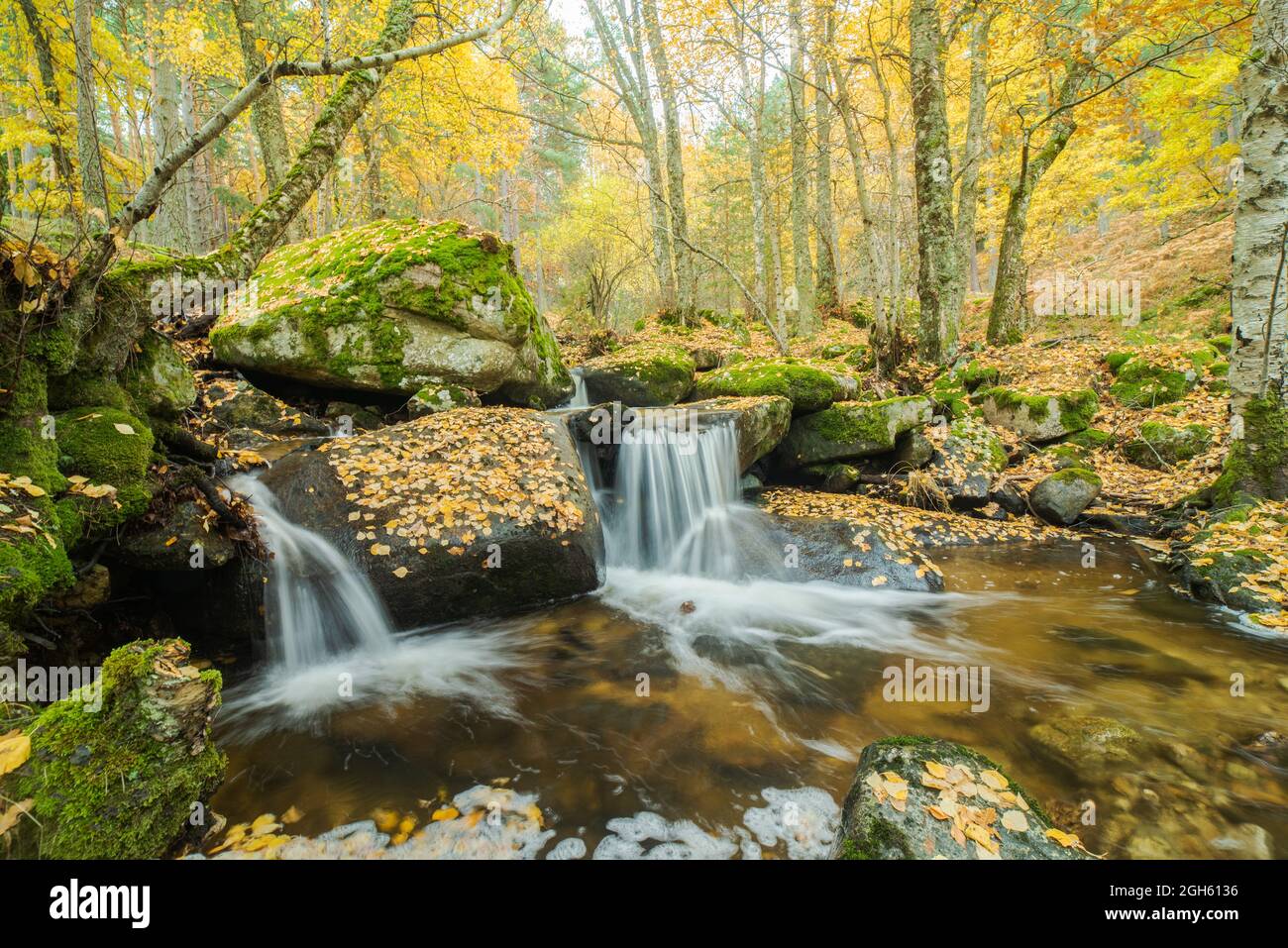 Picturesque view of cascade with foamy water fluid between boulders ...