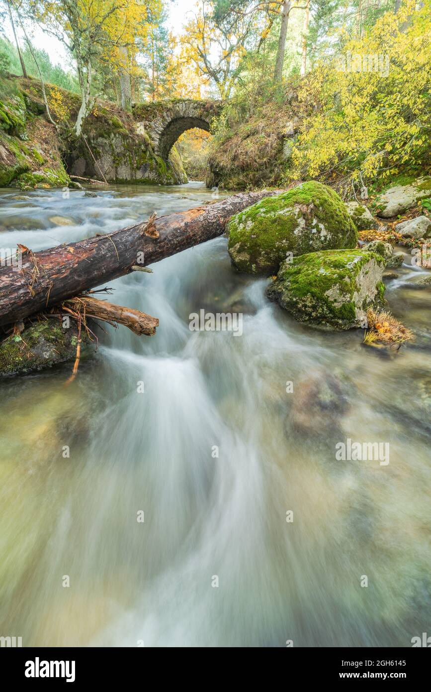 Picturesque view of cascade with foamy water fluid between boulders ...