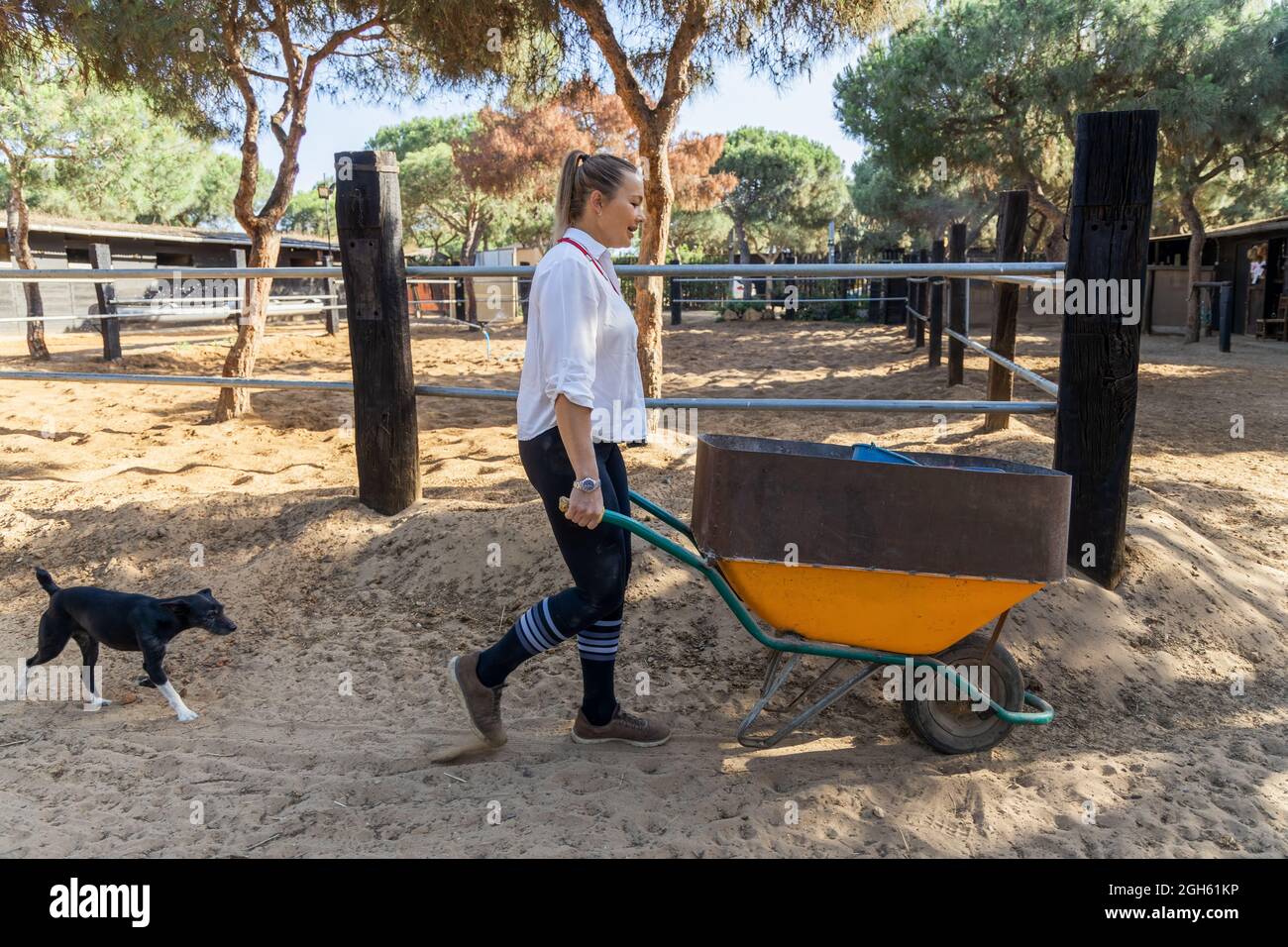 Jewish Wheelbarrow Walk